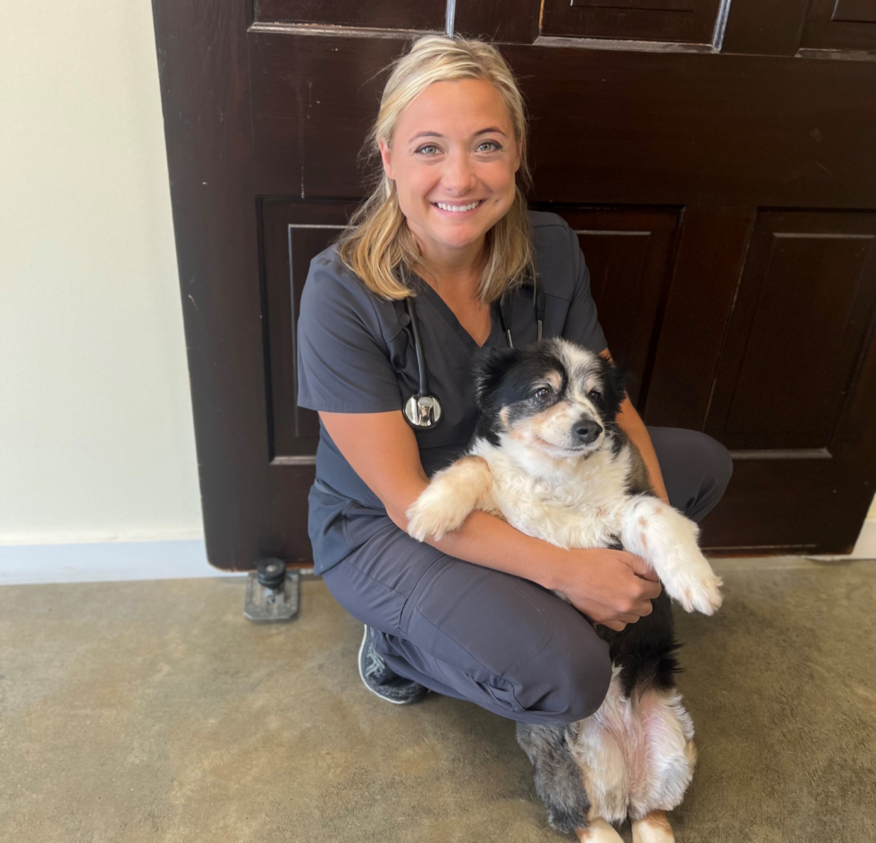 Veterinarian In Georgetown, IN 47122 | Georgetown Veterinary Clinic